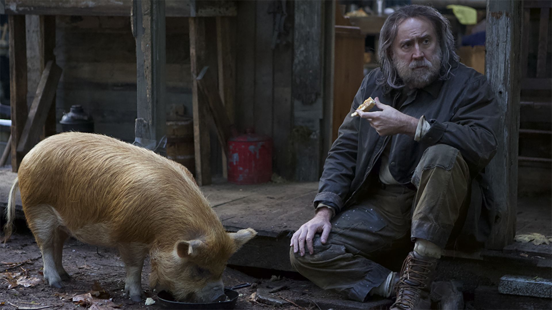 Pig kijken? Dat doe je bij KPN TV