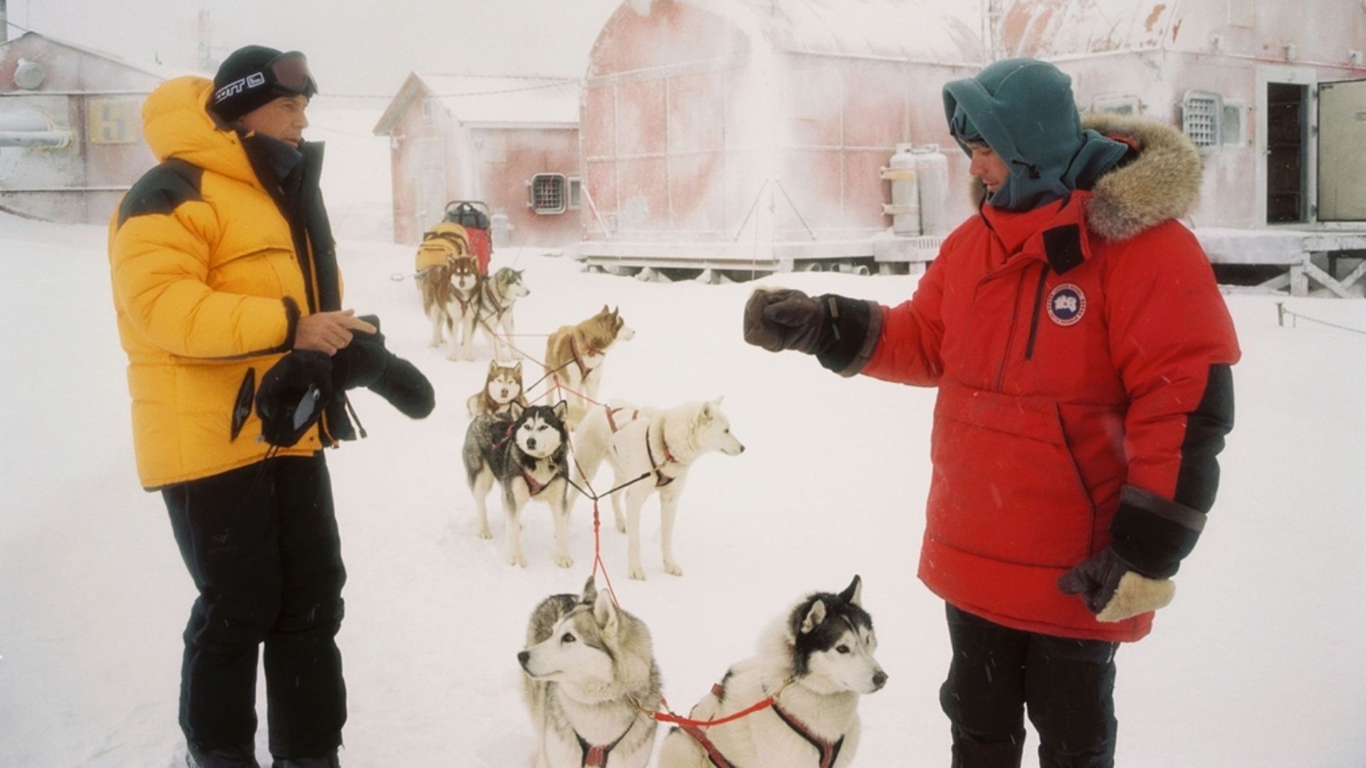 Eight Below kijken? Dat doe je bij KPN TV