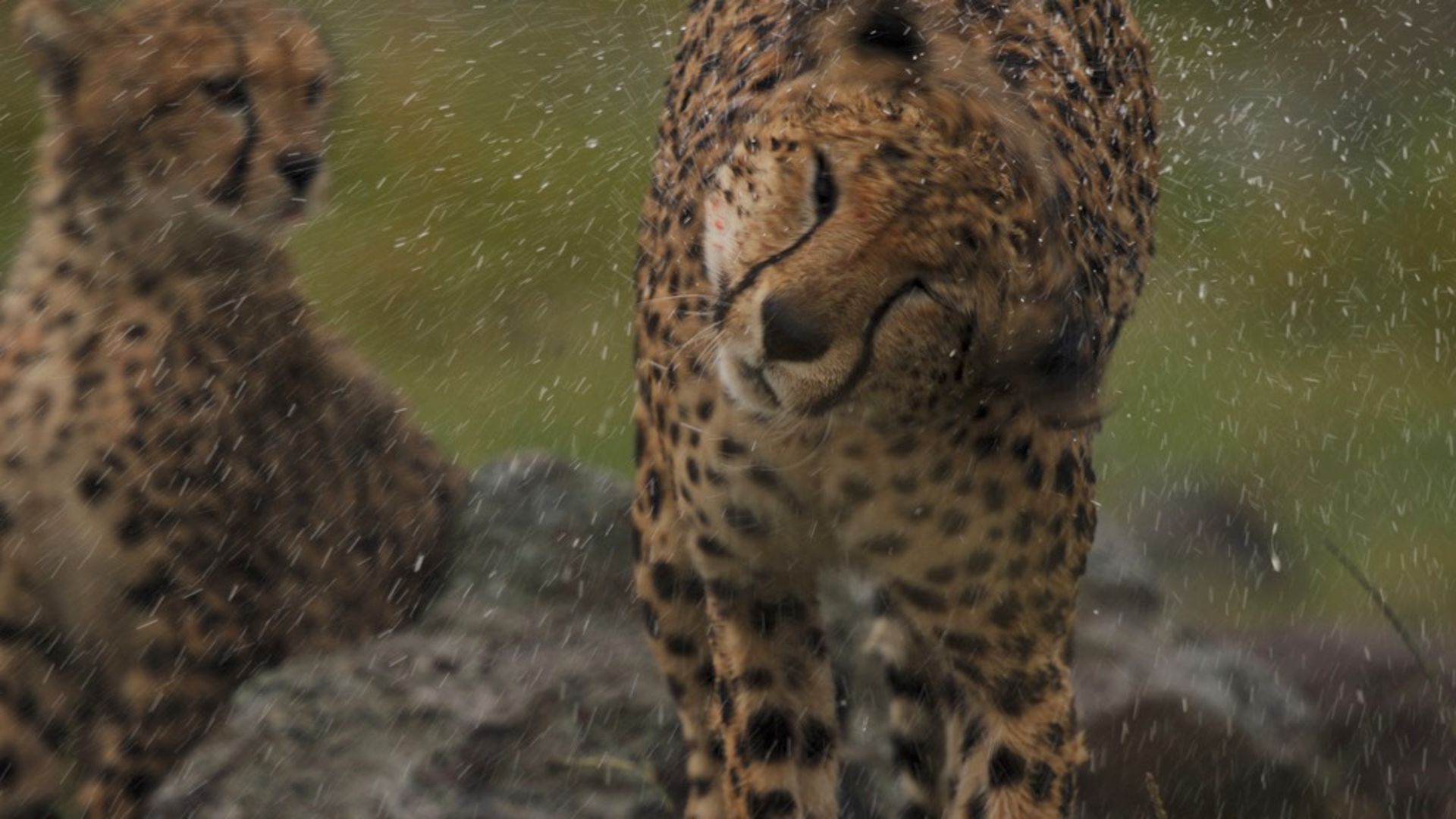 Chasing the Rains kijken? Dat doe je bij KPN TV